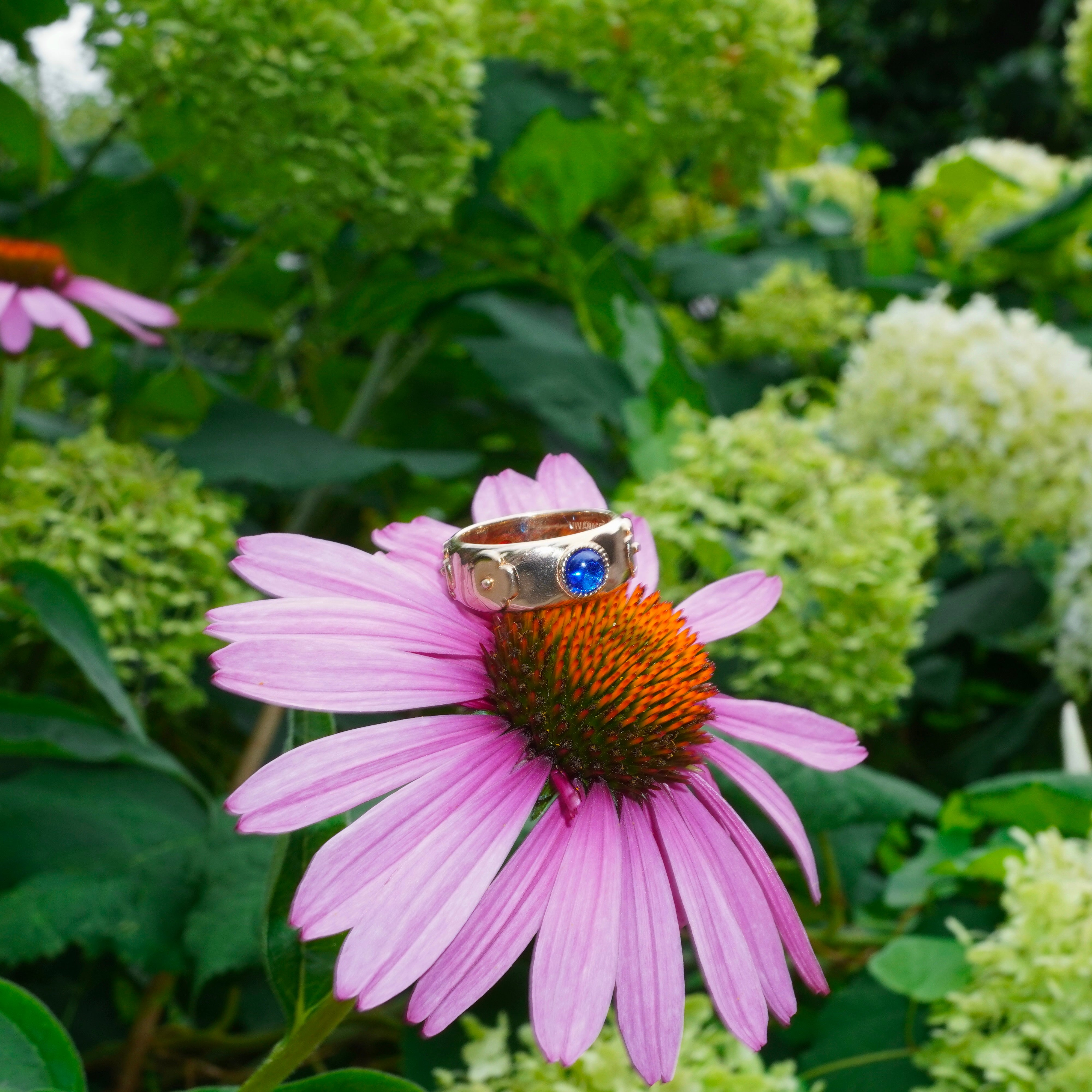 Howl's Ring – Vivamacity